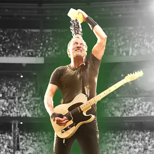 Rock/Pop– Roots Rock Vinyl